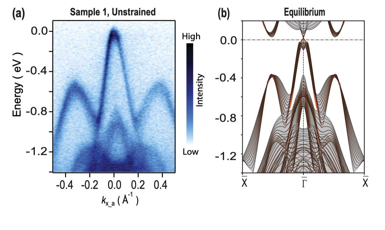 Topological Insulators, Altermagnets, and other Quantum Materials ...
